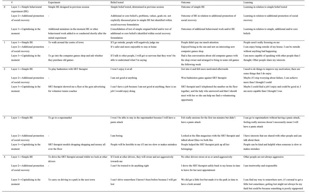 SRT Behavioural Work - Social Recovery Therapy - Read More